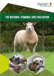 Terminal Sire Breeding Evaluation manual | AHDB