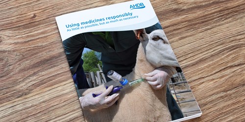 Using Medicines Responsibly | AHDB