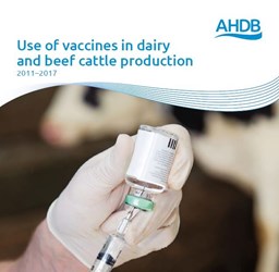 Use of vaccines in dairy and beef cattle production 2011-17 | AHDB