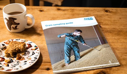 An introduction to grain sampling | AHDB
