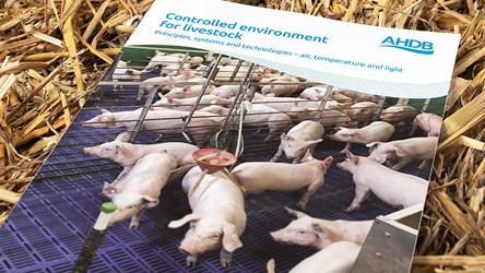 Controlled environment for livestock | AHDB