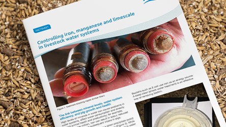 Controlling iron, manganese and limescale in livestock water systems | AHDB