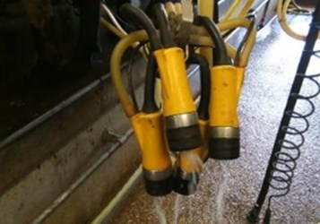 Dairy mastitis control plan farmer guide | AHDB