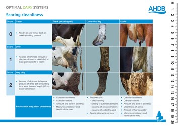Cleanliness scorecard | AHDB