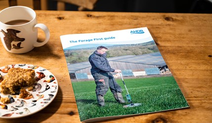 The Forage First guide | AHDB