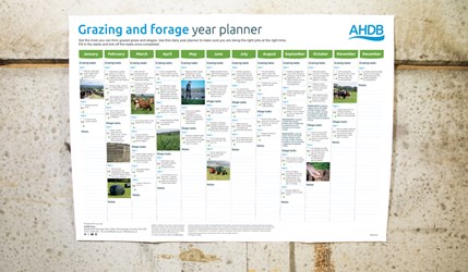 Grazing & Forage Year Planner | AHDB