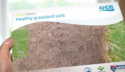 Healthy grassland soils pocketbook | AHDB