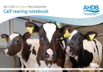 Calf rearing notebook | AHDB