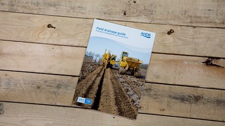 An introduction to field drainage | AHDB