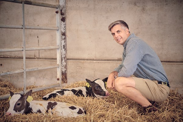 Buscot Wick Farm - strategic dairy farm | AHDB