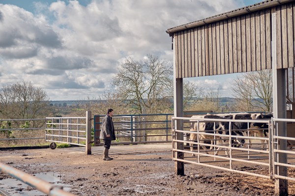 Bridge Farm - strategic dairy farm | AHDB
