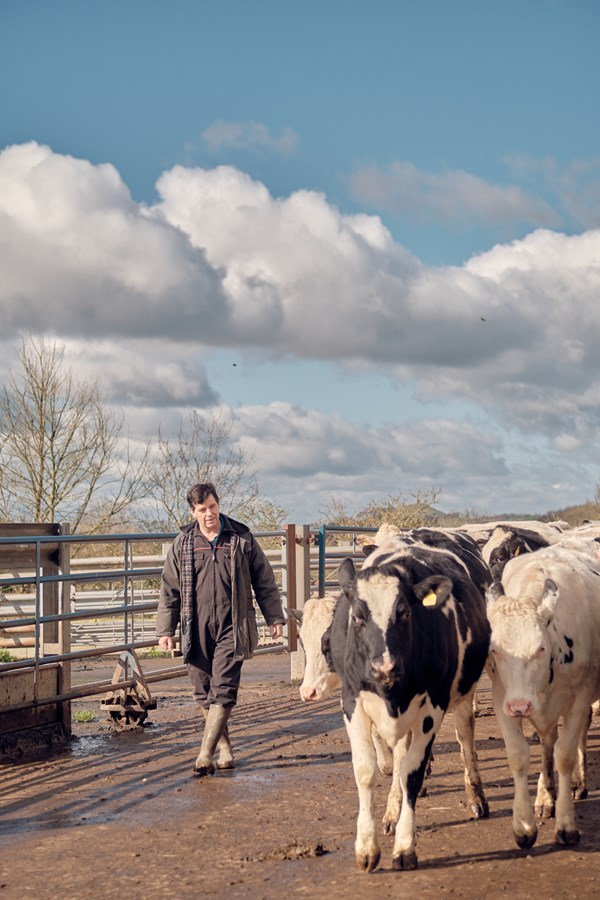 Bridge Farm - strategic dairy farm | AHDB