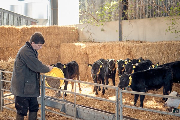 Bridge Farm - strategic dairy farm | AHDB