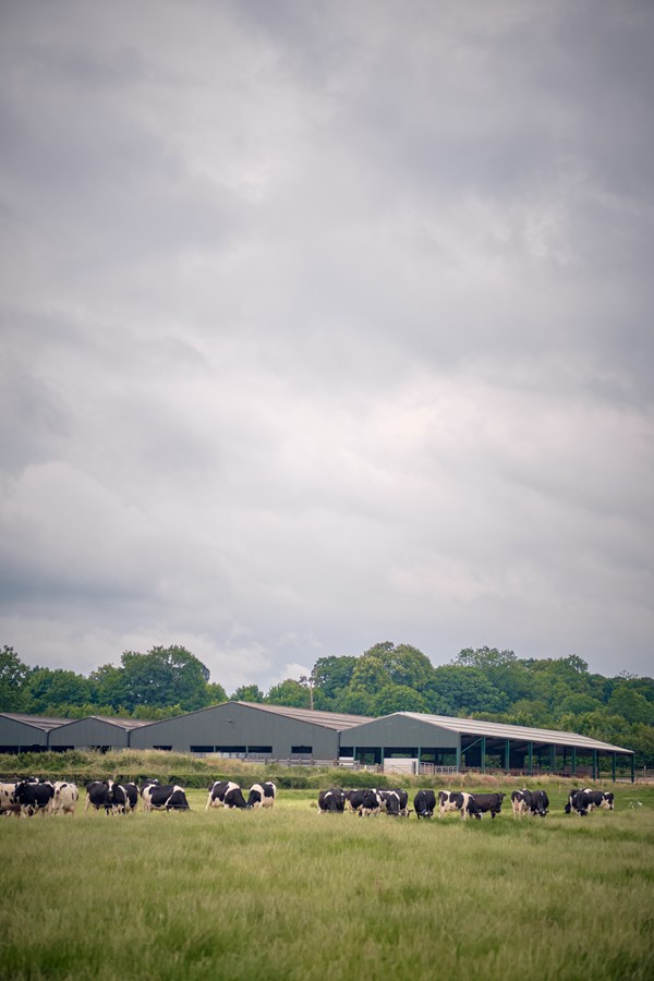 Honeypot Farm - strategic dairy farm | AHDB