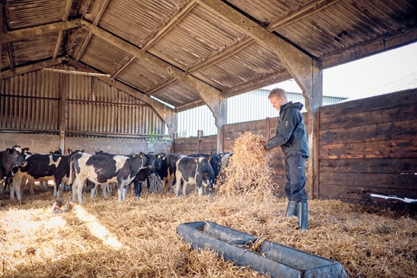 Cockhaise Farm | AHDB