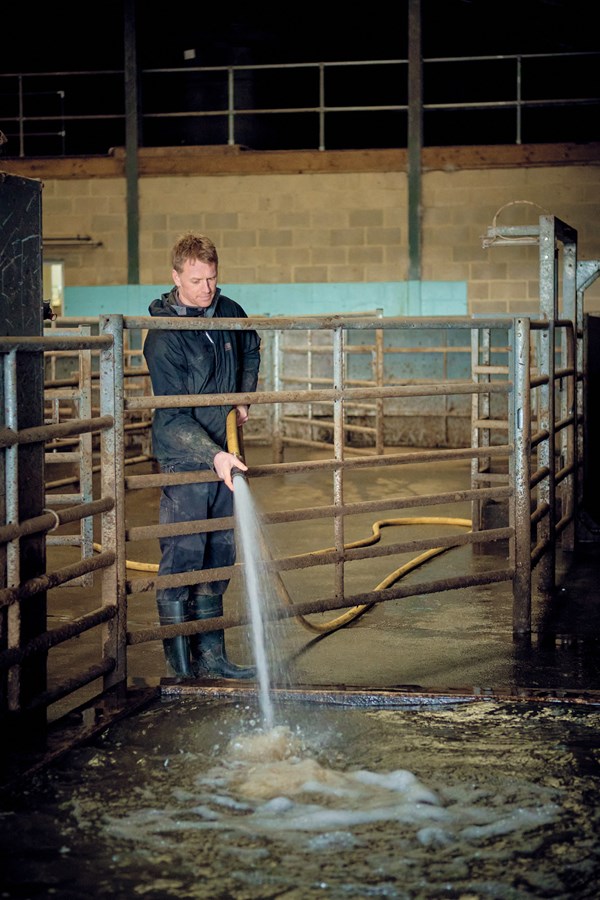 Cockhaise Farm | AHDB