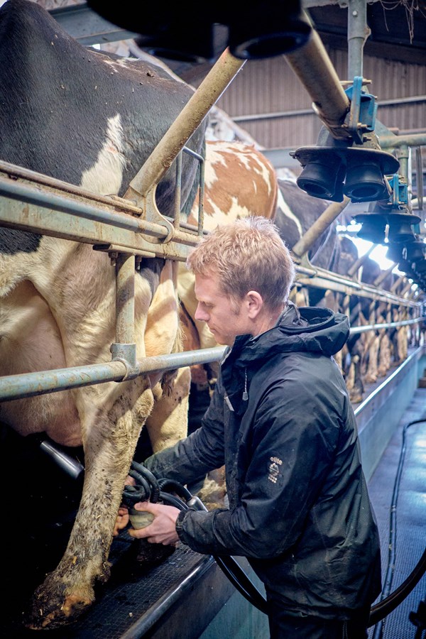 Cockhaise Farm | AHDB