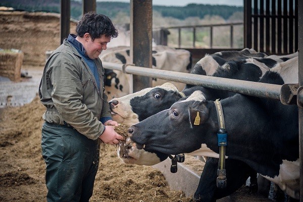 Strategic dairy farm: Bentley Ford Farm | AHDB