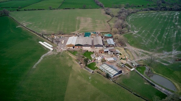 Strategic dairy farm: Bentley Ford Farm | AHDB