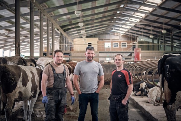 Strategic Dairy Farm: Dillington Farm | AHDB