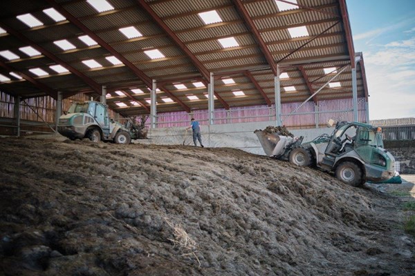 Strategic dairy farm: Willow Tree farm | AHDB