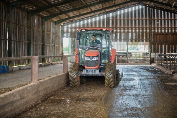 Strategic dairy farm: Willow Tree farm | AHDB