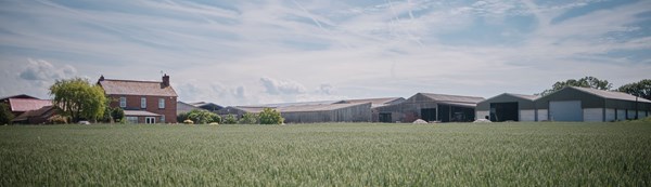 Strategic dairy farm: Willow Tree farm | AHDB