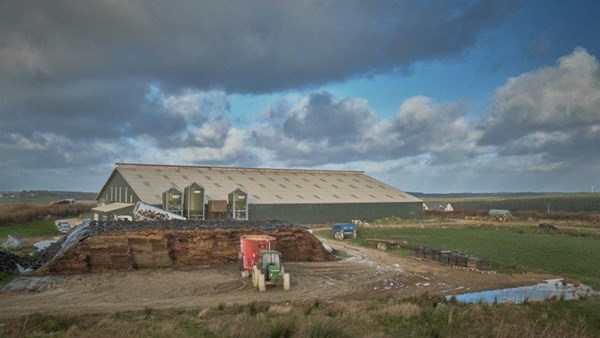 Strategic dairy farm: Newlands farm | AHDB