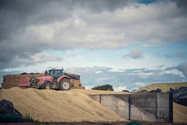 Strategic dairy farm: Statfold Farm | AHDB