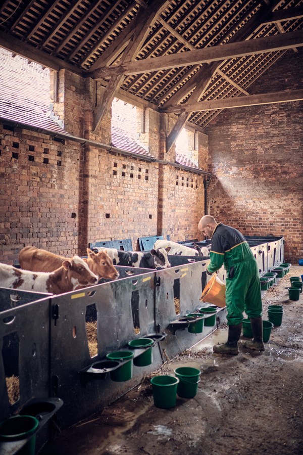 Strategic dairy farm: Statfold Farm | AHDB