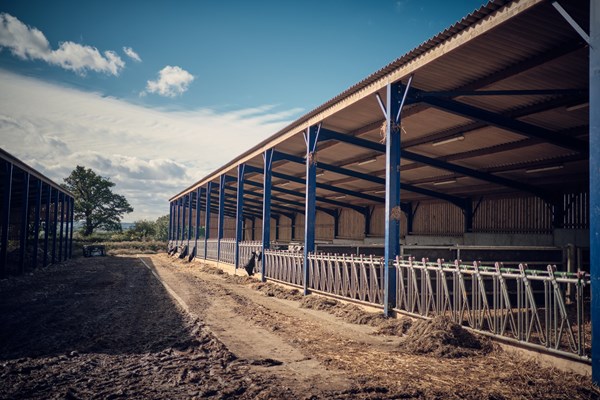 Strategic dairy farm: Statfold Farm | AHDB